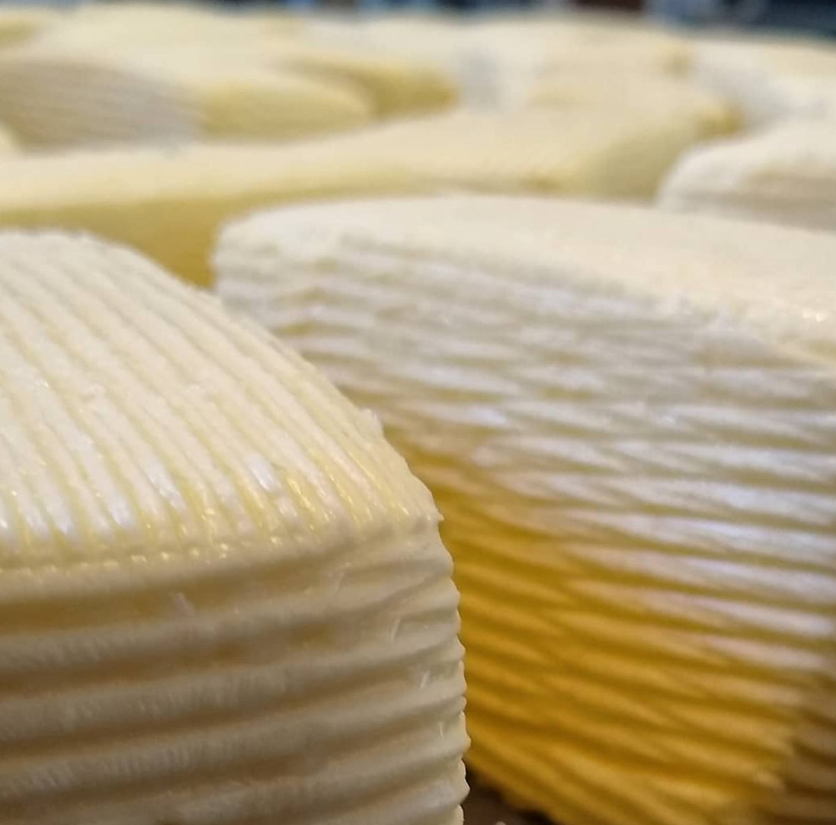 Cheese/ & Butter - Local Farmstead | Food Shed Idaho