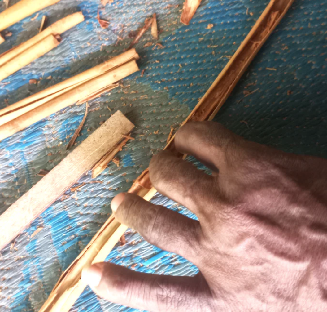 Hand-Rolled Cinnamon Quills (Sri Lanka) | Burlap & Barrel – Food Shed Idaho