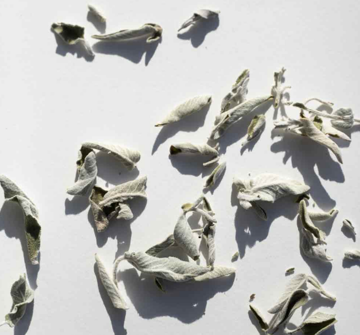 Unique Dried Greek Sage ( Greece) | Daphnis and Chloe – Food Shed Idaho