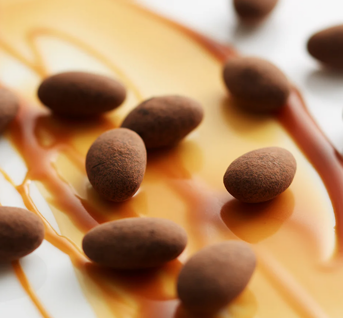 Burnt Caramel Almonds (San Francisco) | Recchiuti Confections – Food ...
